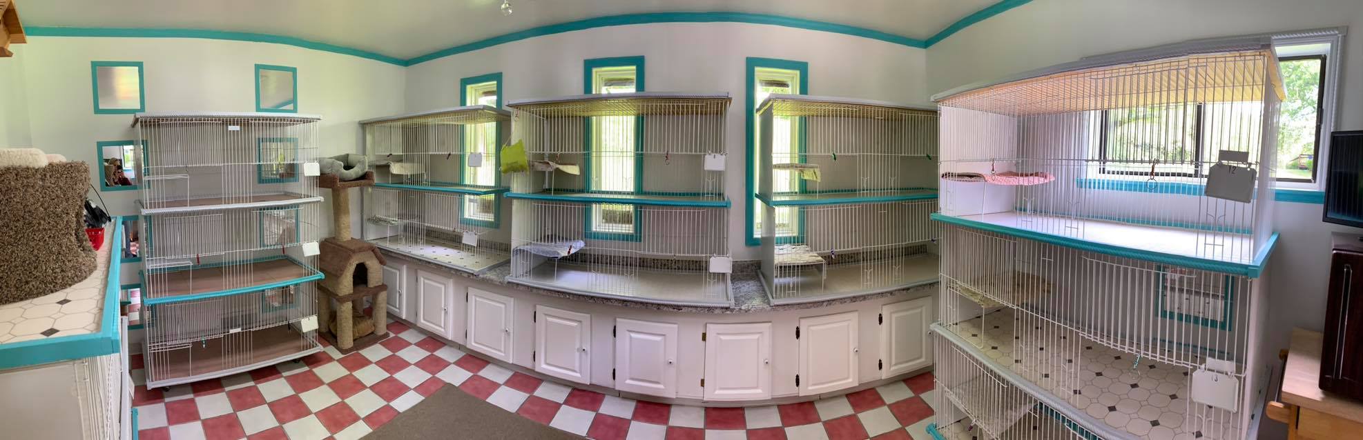 Boarding FAQs - Nancy Crane's Family Pet Care